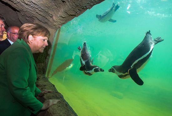 German Chancellor Angela Merkel Watches Humboldt Editorial Stock Photo ...
