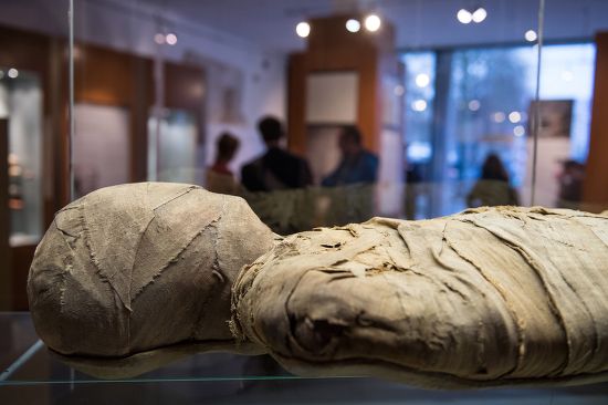 Restored Muenster Mummy On Display Museum Editorial Stock Photo - Stock ...