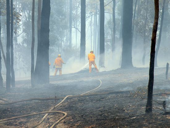 Country Fire Authority Cfa Firefighters Put Editorial Stock Photo ...