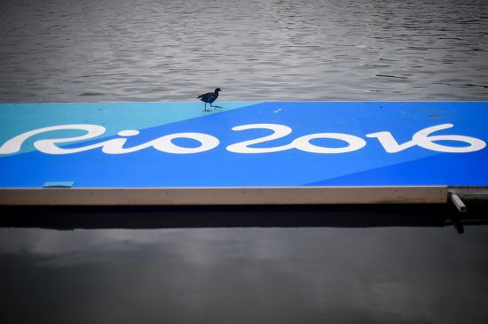 Bird Walks On Pontoon Rowing Venue Editorial Stock Photo - Stock Image ...