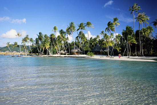 Private Beach Luxury Tahaa Pearl Beach Editorial Stock Photo - Stock ...