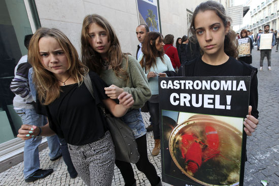 Young Member Vegan Activist Group Activismo Editorial Stock Photo ...