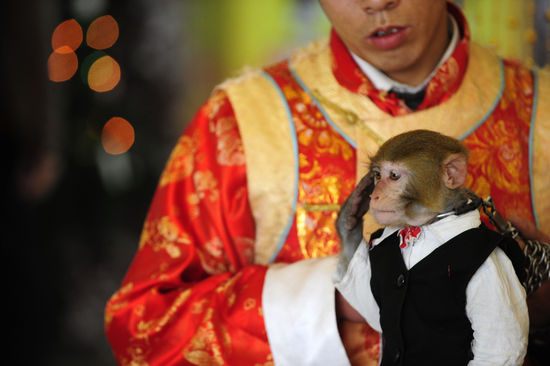 Monkey Manager Editorial Stock Photo - Stock Image | Shutterstock