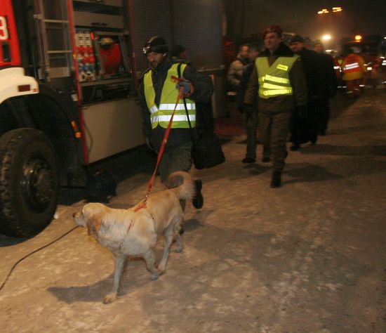 Emergency Workers Dogs On Scene Sunday Editorial Stock Photo - Stock ...