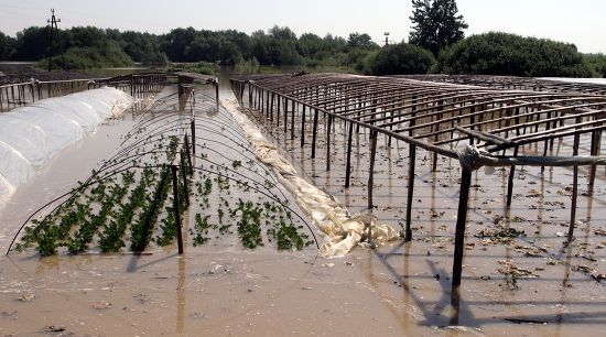 Flooded Greenhouses Seen Village Slupcza Poland Editorial Stock Photo ...