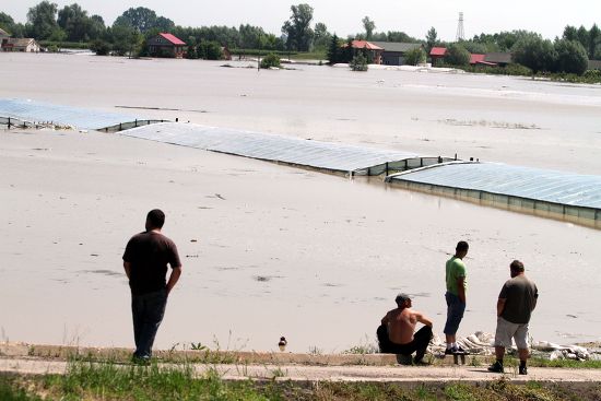 Flooded Greenhouses Seen Village Slupcza Poland Editorial Stock Photo ...
