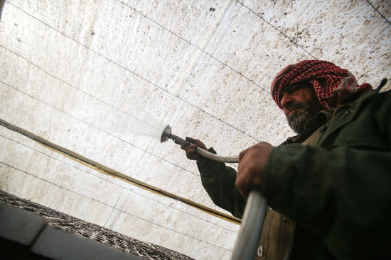 Syrian Farmer Waters Seeding Trays Greenhouse Editorial Stock Photo ...