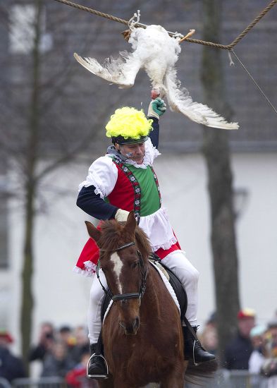 Contester Action During Event Goose Pulling Editorial Stock Photo ...