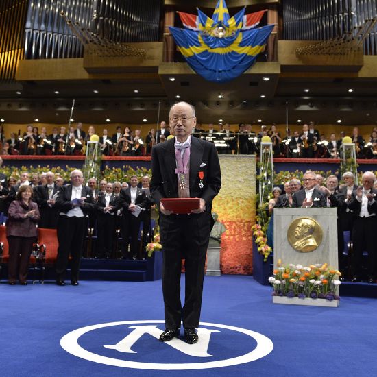 Nobel Prize Physiology Medicine 2015 Laureate Editorial Stock Photo ...