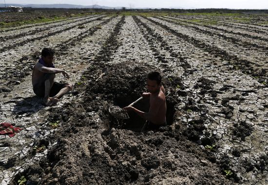 Filipino Farmers Dig Hole On Driedup Editorial Stock Photo - Stock ...