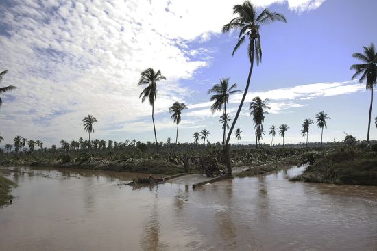 General View Damage Caused By Hurricane Editorial Stock Photo - Stock ...