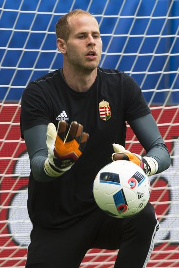 Hungarian National Soccer Team Goalkeeper Peter Editorial Stock Photo ...
