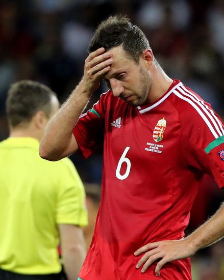 Akos Elek Hungary Reacts After Losing Editorial Stock Photo - Stock ...