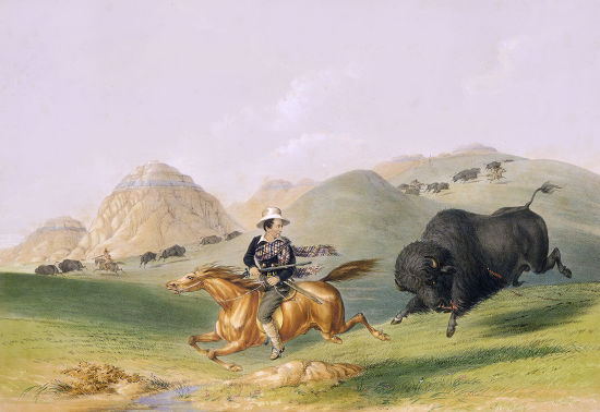Buffalo Hunt Chasing Back 1844 Handcoloured Editorial Stock Photo ...