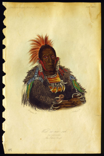 Wahroneesah Surrounder Otoe Chief 1842 Handcoloured Editorial Stock ...