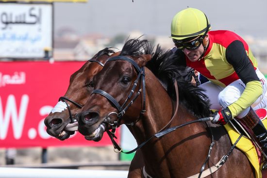 Zain Empire Gb Ridden By Ismail Editorial Stock Photo - Stock Image ...