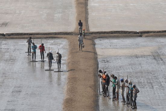 Brigade Commander Major General Daya Rathnayake Editorial Stock Photo ...