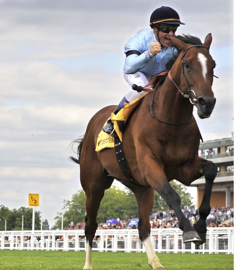 King George Vl Queen Elizabeth Stakes Editorial Stock Photo - Stock ...