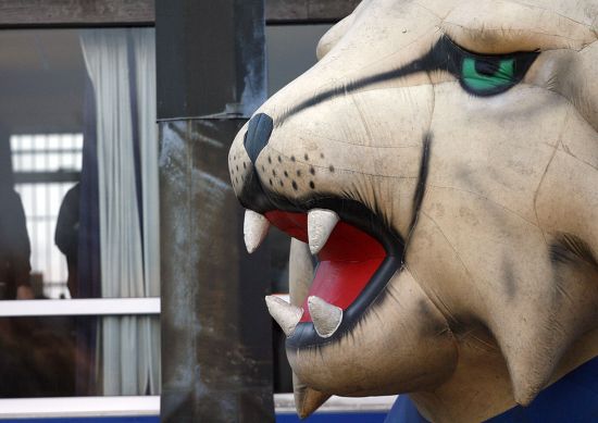 Giant Inflatable Wakefield Trinity Wildcats Mascot Editorial Stock ...