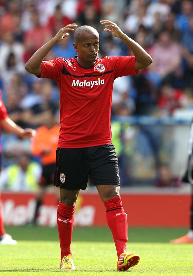 Robert Earnshaw Cardiff City United Kingdom Editorial Stock Photo ...