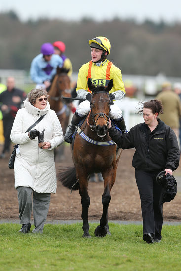 Shoofly Milly Ridden By Matt Griffiths Editorial Stock Photo - Stock ...
