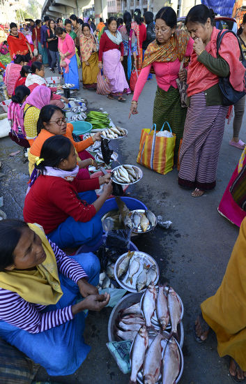 Manipuri Women Sell Fish On Eve Editorial Stock Photo - Stock Image ...