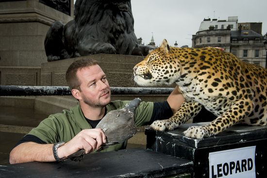 National Geographic Presenter Giles Clark Unveils Editorial Stock Photo ...