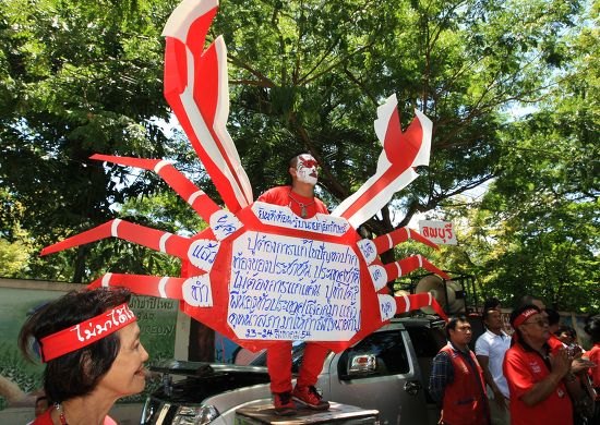 Red Shirt Supporter Dressed Crab Poo Editorial Stock Photo - Stock ...