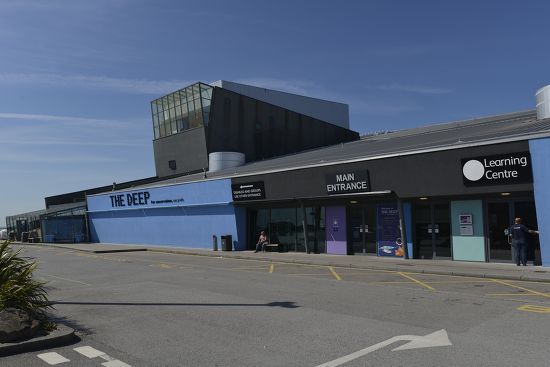 View Deep Aquarium Sealife Centre Hull Editorial Stock Photo - Stock ...