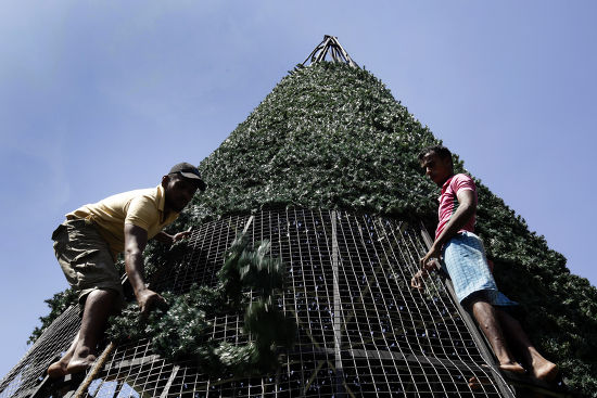 Workers Prepare Giant Christmas Tree Colombo Editorial Stock Photo ...