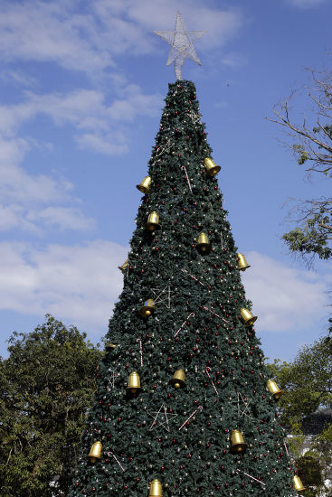 View Giant Christmas Tree Colombo Sri Editorial Stock Photo - Stock ...