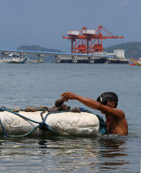 Local Filipino Fisherman Collects Shells Fishing Editorial Stock Photo ...