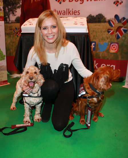 Rachel Riley Hearing Dogs Stand Editorial Stock Photo - Stock Image ...