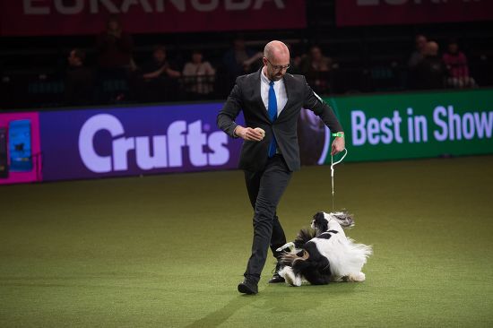 Jason Lynn Exhibits Afterglow Miami Ink Editorial Stock Photo - Stock ...