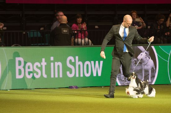 Jason Lynn Exhibits Afterglow Miami Ink Editorial Stock Photo - Stock ...