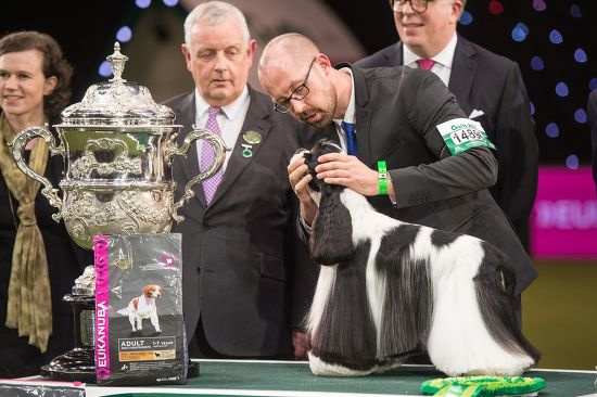 Jason Lynn Exhibits Afterglow Miami Ink Editorial Stock Photo - Stock ...