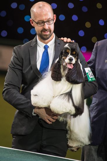 Jason Lynn Exhibits Afterglow Miami Ink Editorial Stock Photo - Stock ...