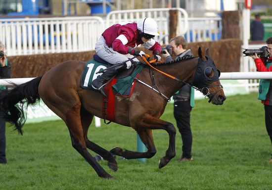 Tiger Roll Miss Lisa Oneill Win Editorial Stock Photo - Stock Image ...
