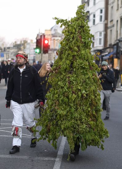 Man Dressed Tree Walks Along Side Editorial Stock Photo - Stock Image ...