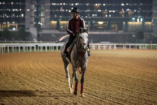 Lani Usa Entry Dubai World Cup Editorial Stock Photo - Stock Image ...