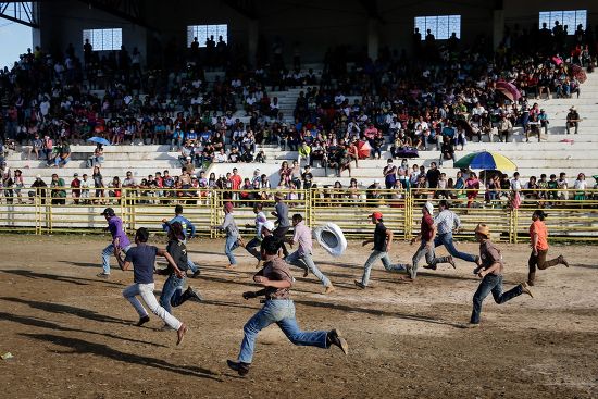 Young Filipino Cowboys Prepare Wrestle Cattles Editorial Stock Photo ...