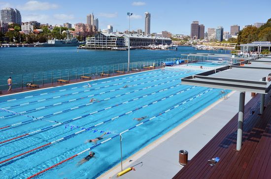 Australian People Swiming Outdoor Pool Woolloomooloo Editorial Stock ...