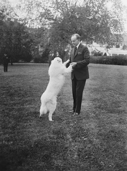 Us President Calvin Coolidge His Dog Editorial Stock Photo - Stock ...