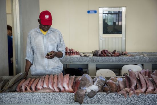 Africa Fish Market Maputo Mercado De Editorial Stock Photo - Stock ...