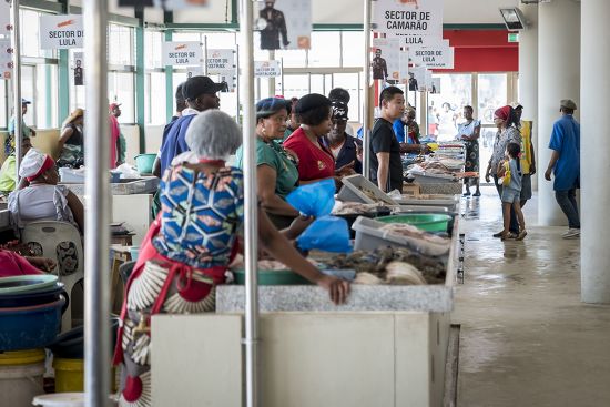 Africa Fish Market Maputo Mercado De Editorial Stock Photo - Stock ...
