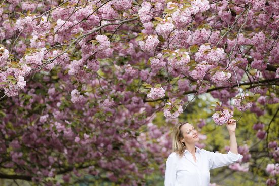 Elizabeth Cooper Enjoys Cherry Blossom Greenwich Editorial Stock Photo ...