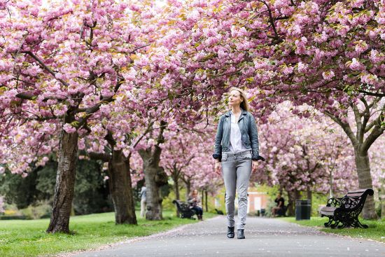 Elizabeth Cooper Enjoys Cherry Blossom Greenwich Editorial Stock Photo ...
