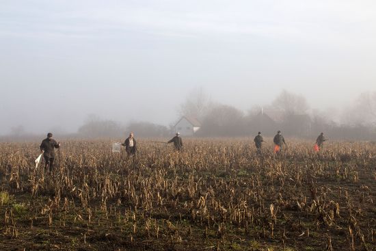 Beating Line On Suffolk Shoot Having Editorial Stock Photo - Stock ...