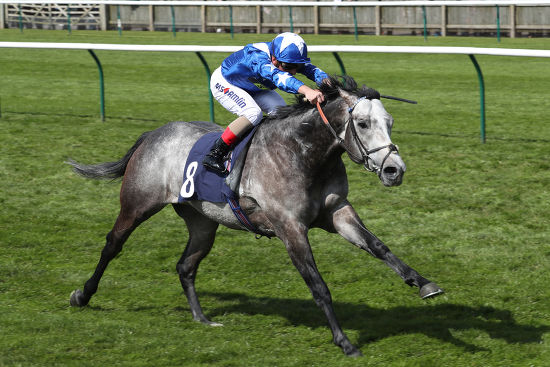 Newmarket Weatherbys General Stud Book Online Editorial Stock Photo ...