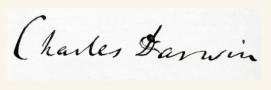 Signature Charles Robert Darwin 1809 1882 Editorial Stock Photo - Stock ...